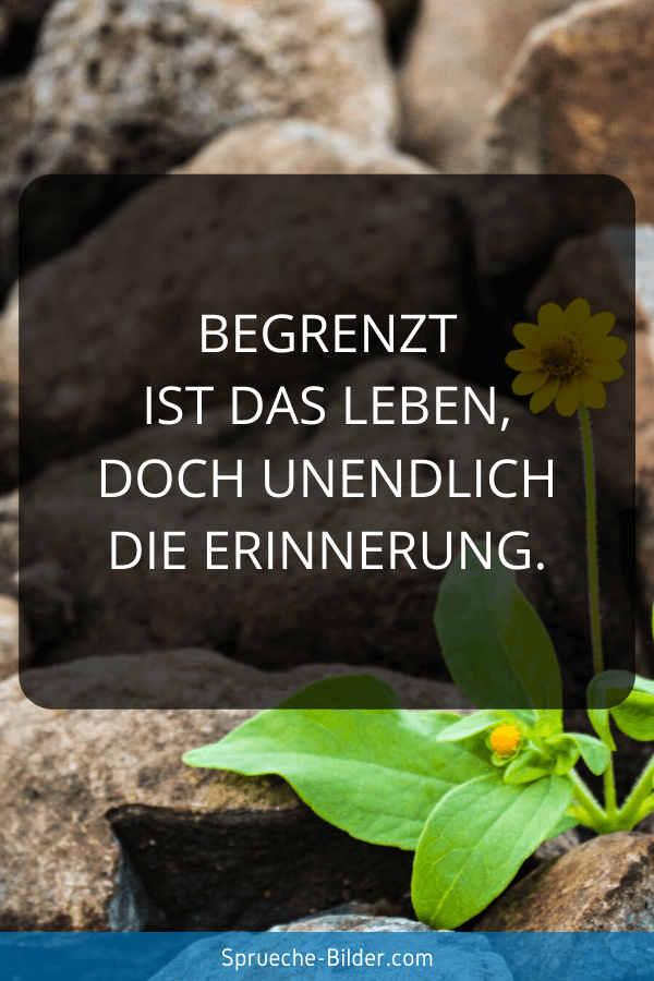 Das Leben Ist Begrenzt Doch Die Erinnerung Unendlich